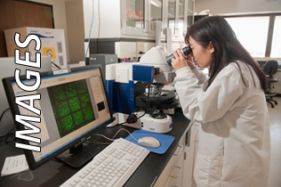 Dacheng Ren Biofilm Engineering Lab Syracuse University